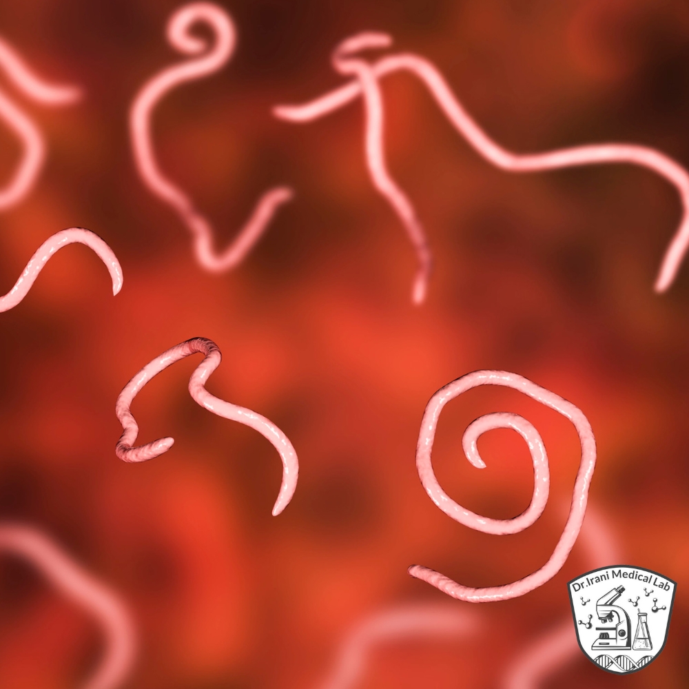 آزمایش انگل - آزمایشگاه دکتر ایرانی - تجربه خوشایند یک آزمایش